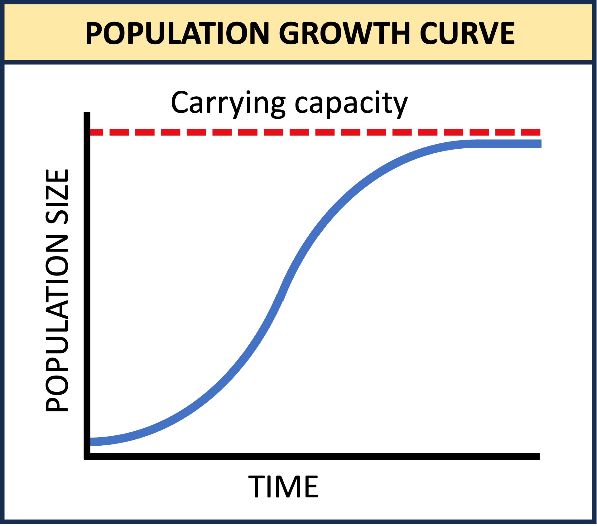 Population Growth